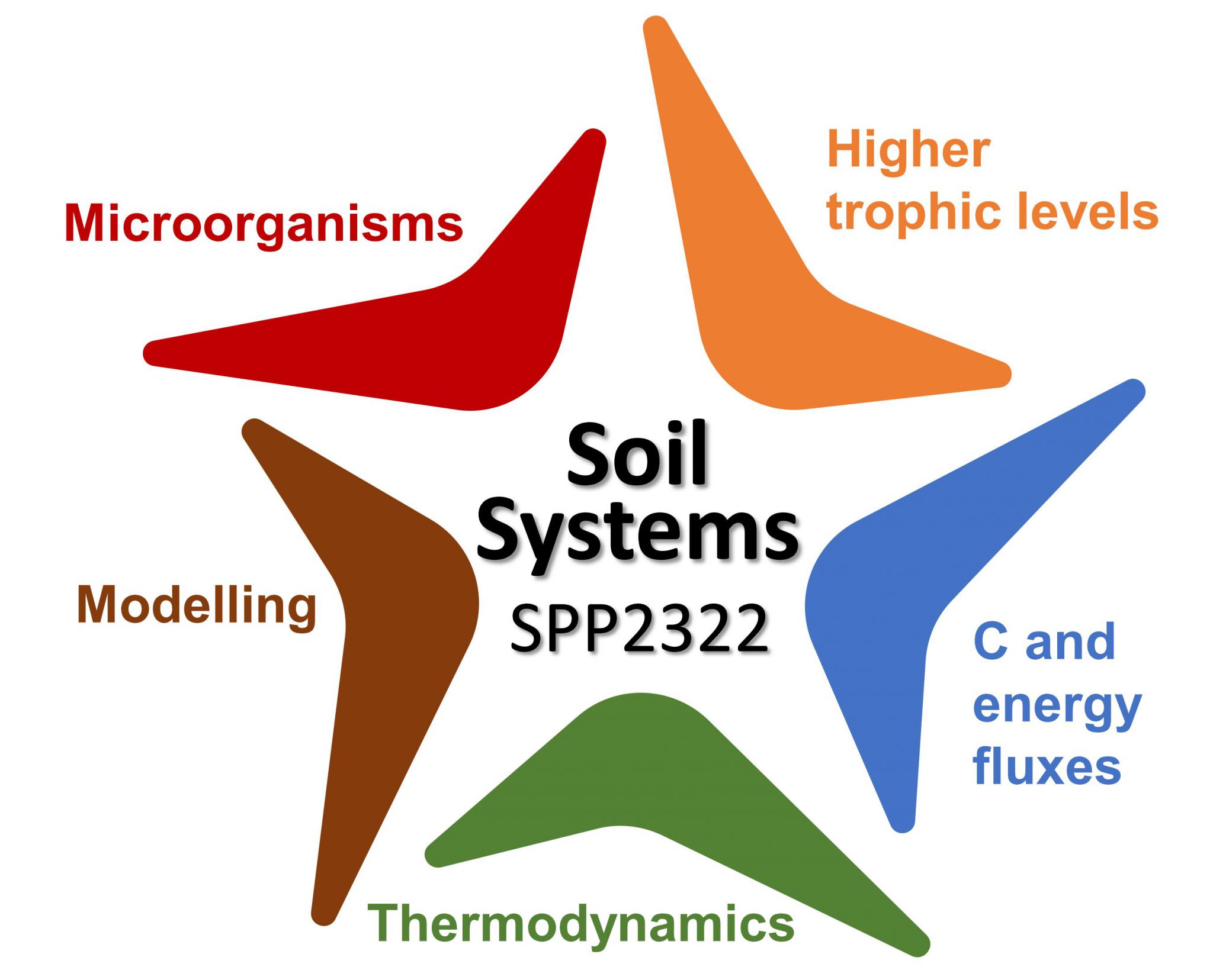 SoilSystems (SPP 2322) – Systems ecology of soils – energy discharge ...